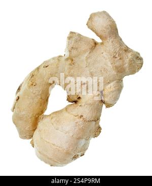 Fresh ginger root isolated on white background. Copy space Stock Photo ...