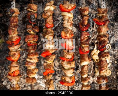 Closeup photo of kebab being cooked on fire Stock Photo - Alamy