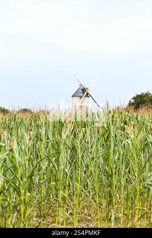 windmill in cornfield Stock Photo - Alamy