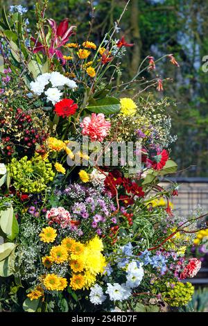 Big multicolor wonderful flowers bouquet on spring park Stock Photo - Alamy