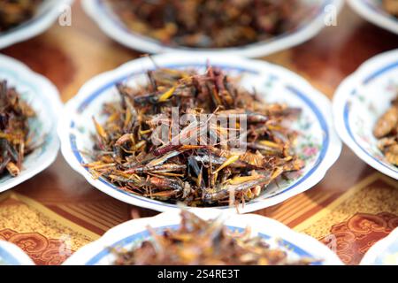 fry insects at a traditional Market in the city of Vientiane in Lao in ...