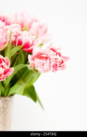 A closeup shot of red flowers in bloom with green leaves Stock Photo ...