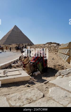 Around Metro-Cairo, Egypt along the river Nile, featuring camels ...