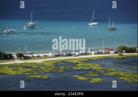 the village on the Gran Roque Island at the Los Roques Islands in the ...