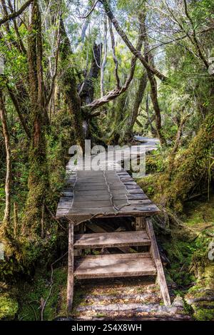Chiloé National Park, Cucao, coastal mountain range, Chiloé Islands ...