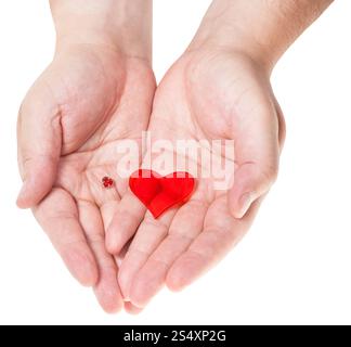 Two red hearts on a background of white snow close-up. Valentine's day ...