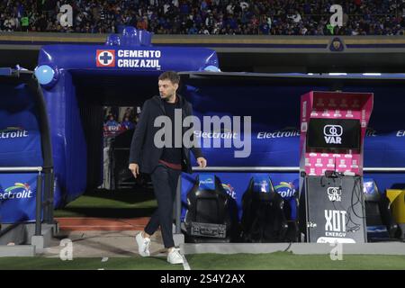 Mexico City, Ciudad de Mexico, Mexico. 12th Jan, 2026. Mexico's ...