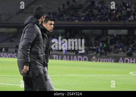 Mexico City, Ciudad de Mexico, Mexico. 12th Jan, 2026. Mexico's ...
