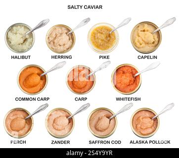 Open canned fish set, top view flat lay, with copy space for text Stock ...