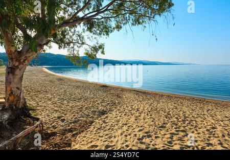 Morning sandy Kastri beach summer top view (Nikiti, Sithonia, Halkidiki ...