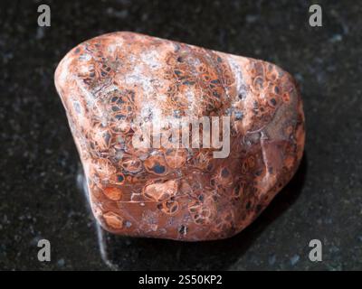 polished leopardskin jasper gemstone on dark Stock Photo - Alamy