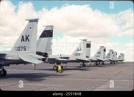 43rd Tactical Fighter Squadron F-15s from Elmendorf AFB, AK. Deployed ...
