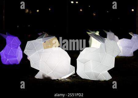 Colorful Geometric Rabbit Lanterns Illuminating a Park at Night, Winter ...