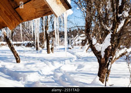 icicles on a roof in a sunny winter day Stock Photo - Alamy