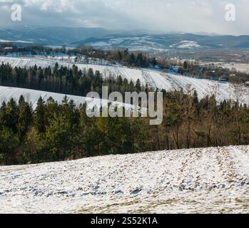 Beautiful spring landscape. Birch grove on a sunny day Stock Photo - Alamy