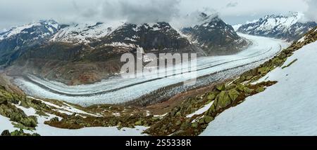 Great Aletsch Glacier and ice fall summer cloudy panorama (Bettmerhorn ...