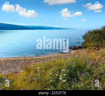 Morning sandy Kastri beach summer top view (Nikiti, Sithonia, Halkidiki ...