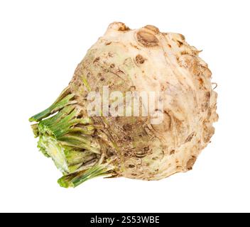 side view of fresh celeriac (celery root) isolated on white background ...