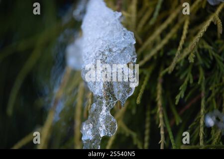 Vereiste Schneedecke in Aachen am 13. Januar 2025. GERMANY - AACHEN ...