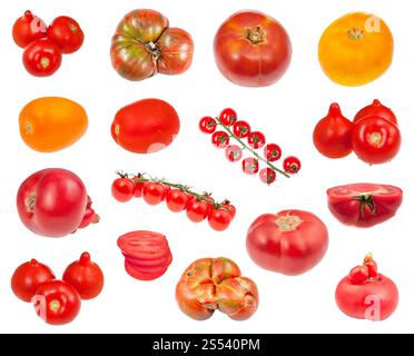 Cluster of tomatoes on a white background Stock Photo - Alamy
