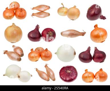 Violet onions isolated on a white background. View from above Stock ...