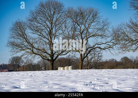 Schnee und Eis auf Feldern und Feldwegen in Aachen am 13. Januar 2025 ...