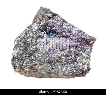 Closeup natural rough Bornite (Peacock ore) on white background, copper ...