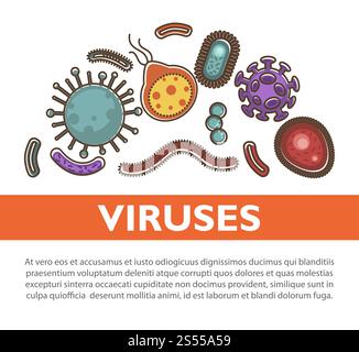 Viruses medical information poster for viral and bacteriology science ...