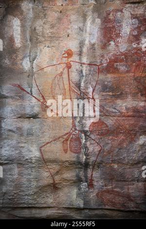 Aboriginal rock art, hunting scene, Kadadu National Park, Ubirr, or ...