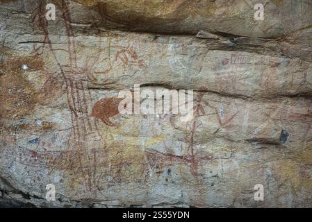 Aboriginal rock art, hunting scene, Kadadu National Park, Ubirr, or ...