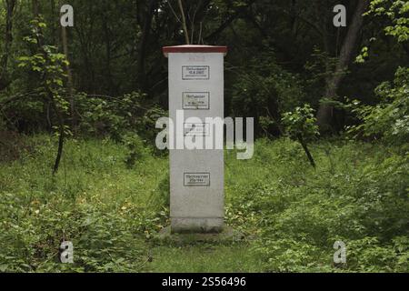 flooded riverside forest at the danube river near wallsee mitterkirchen ...