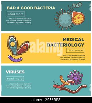 Medical illustration of the good and the bad bacterial flora Stock ...