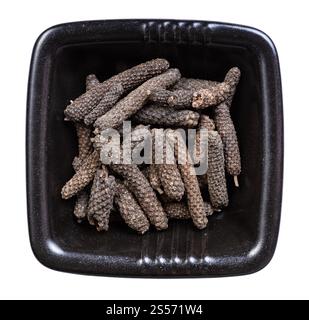 Long pepper (Piper longum) isolated on white background Stock Photo - Alamy