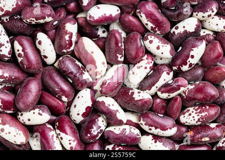 kidney bean texture background, Rajma, Mexican Bean, abstract , food ...