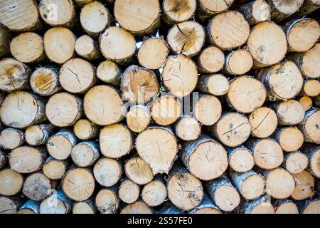 Stack of tree trunks. Texture background wallpaper Stock Photo - Alamy