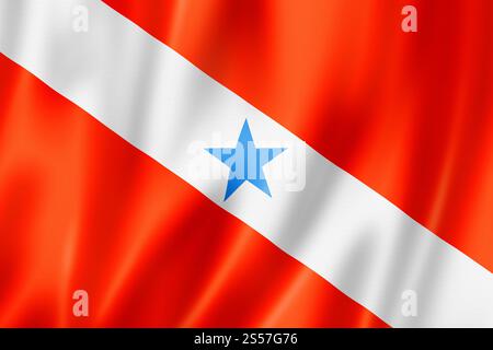 Para state flag, Brazil waving banner collection. 3D illustration Stock ...