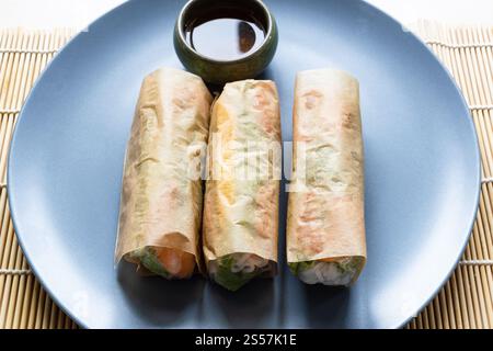 wrapped Nem Cuon, Vietnamese fresh spring rolls close up on gray blue ...