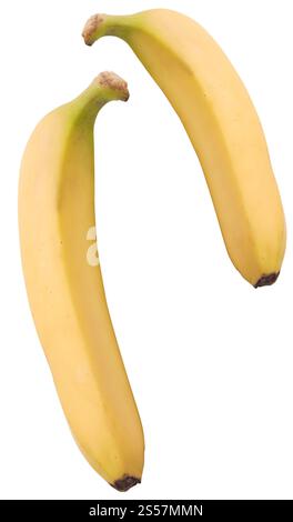 Ripe two banana on a white background Stock Photo - Alamy