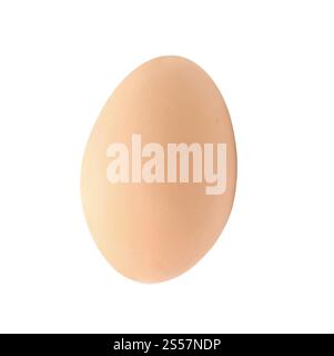 Close-up of chicken egg isolated on light copy space background ...