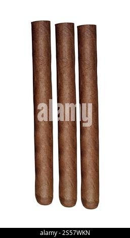 long cigar isolated on white background. long cigar isolated Stock ...