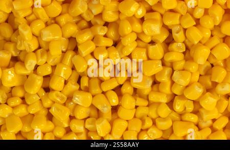 Bulk of yellow corn grains Stock Photo - Alamy