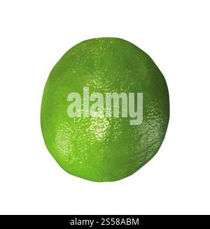 Fresh lime isolated on white background. Fresh lime isolated Stock ...