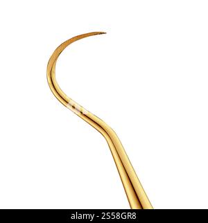 Dentist's dental toothpick tool instrumentation equipment to clean ...