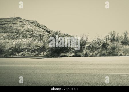 This sepia-toned photograph captures the timeless beauty of the desert ...