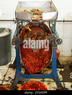 Preparation of red mole, a typical Mexican dish in a clay pot with a ...