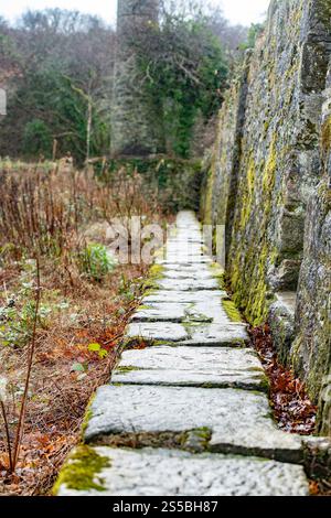 Wheal Arthur at Tregargus Valley heritage industrial area in Cornwall ...