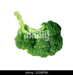 Fresh broccoli isolated on white background Stock Photo - Alamy