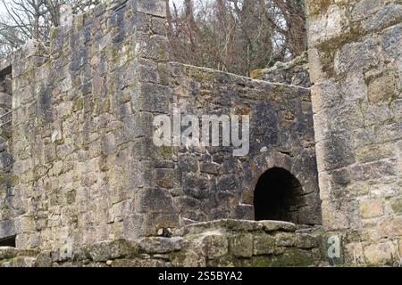 old ruined mill buildings, Tregargus Valley heritage industrial area in ...