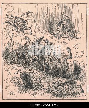 Illustration picture shows a dancing group during the European Open ...