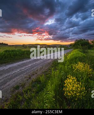 Gravel countryside road through spring meadow, cloudy evening sunset ...